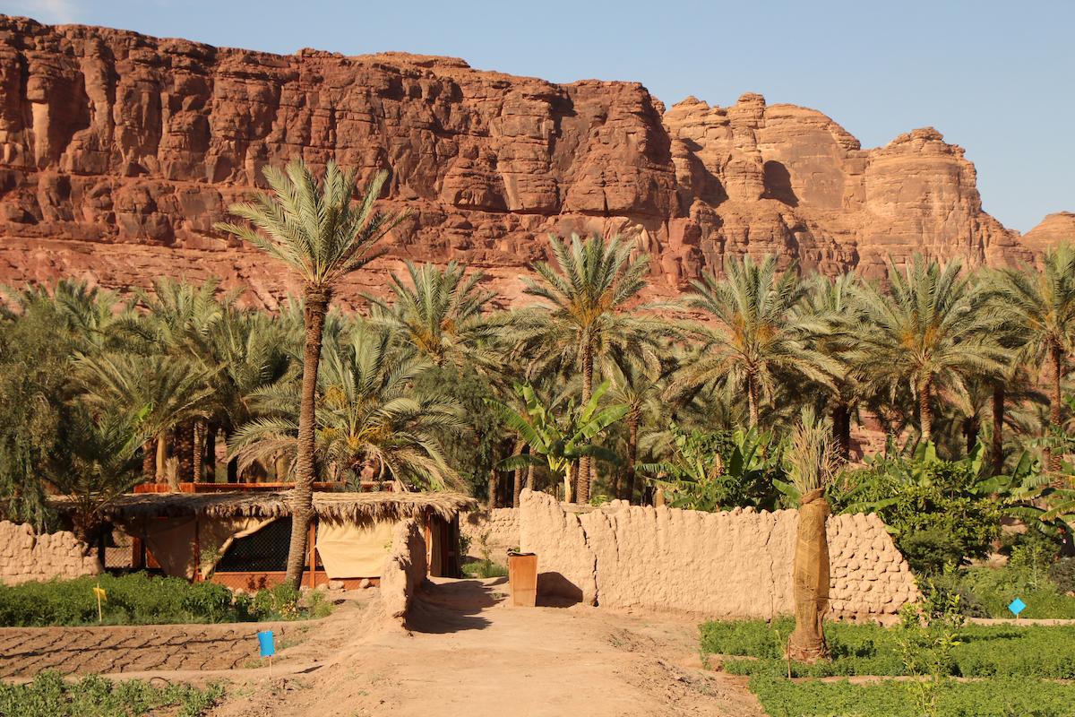 Things to see and to do in AlUla, Saudi Arabia